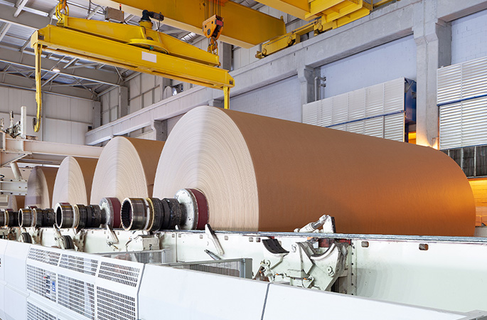 Custom Gearbox Solutions for Paper & Pulp Industry | TYGear
